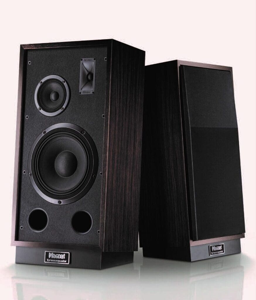 Акустическая система Magnat Transpuls 1000 - Hi-Fi.by